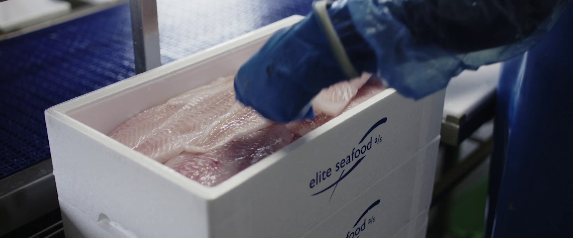 Elite Seafood partners with Wisefish and Telos Team to Enhance Trade Operations